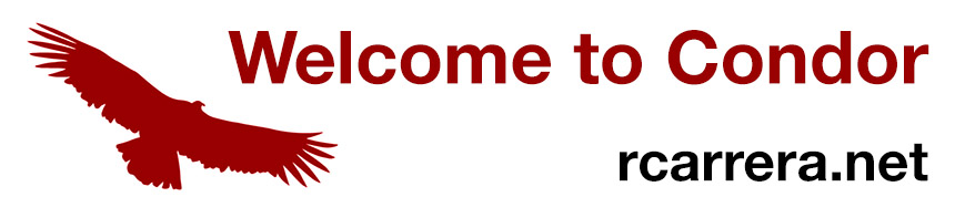 Welcome to Condor